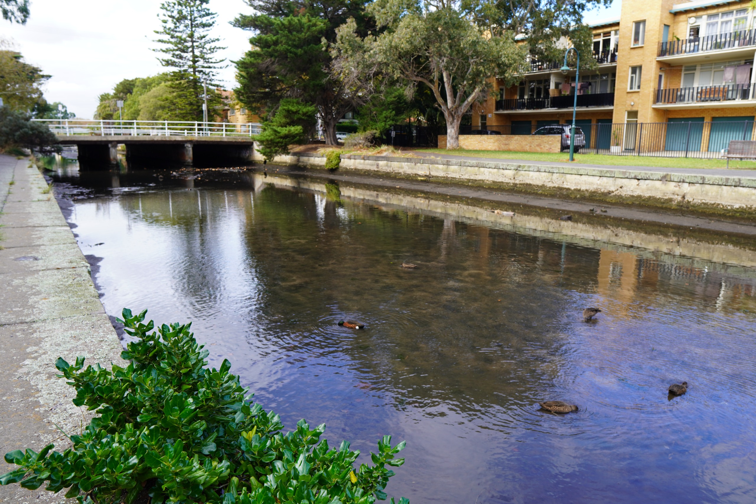 Elster Creek Litter Action Plan | Melbourne Water
