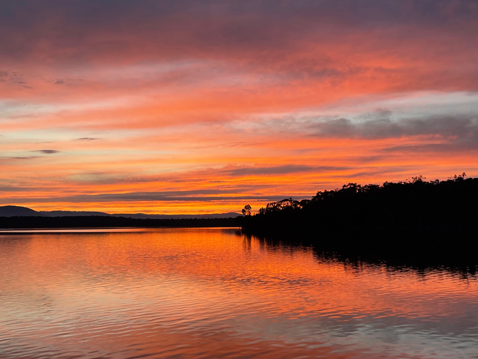 Community wall | Revitalising Yan Yean Reservoir | Let's Talk ...
